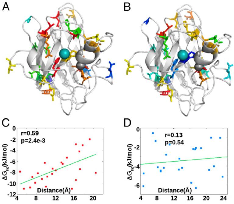 Protein Misfolding and Aggregation-Related Disease - Plotkin Lab